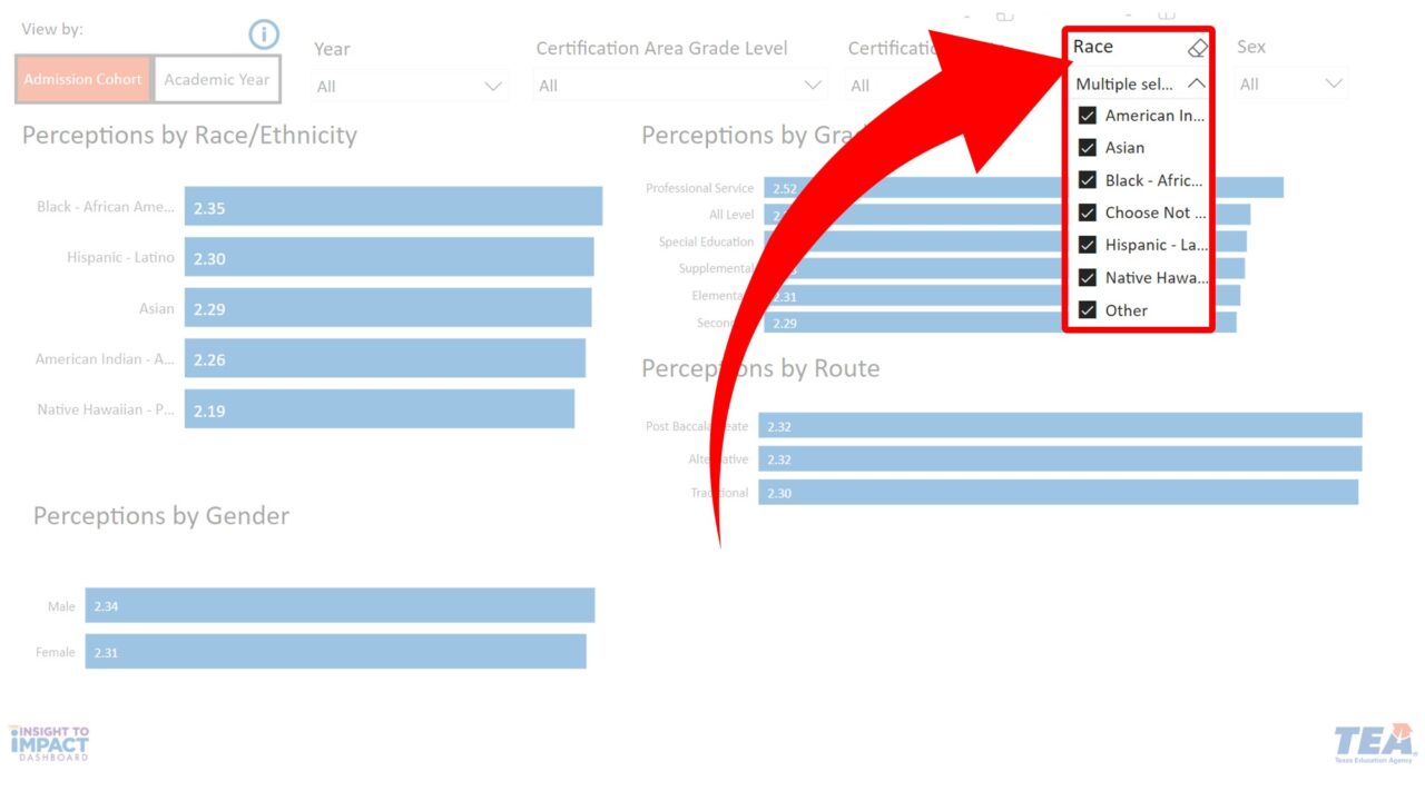 Selecting Race/Ethnicity | Insight to Impact
