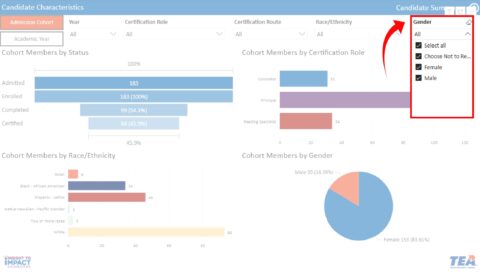 Selecting Gender | Insight to Impact